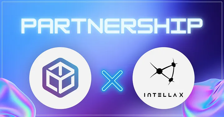 Announcing Our Exciting Partnership with Intella X – DMTP Help Center